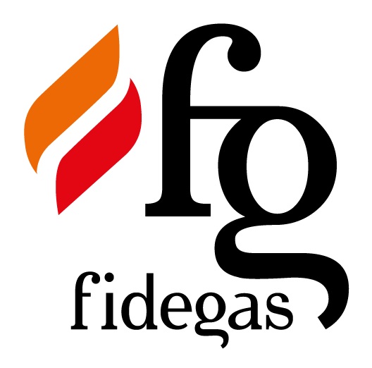 Expertos en detección de gases | FIDEGAS